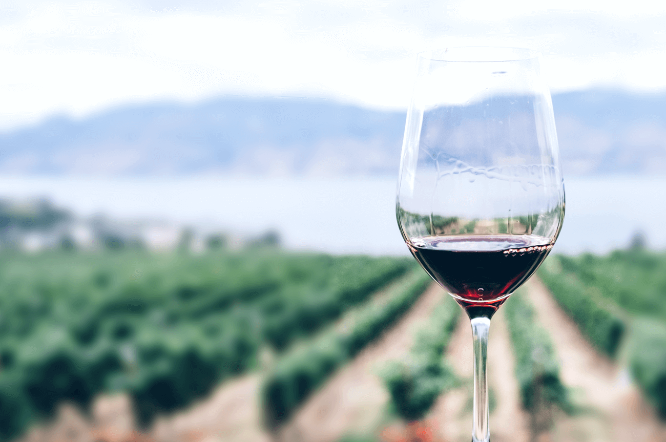 wineglass7.png – Sun LabTek